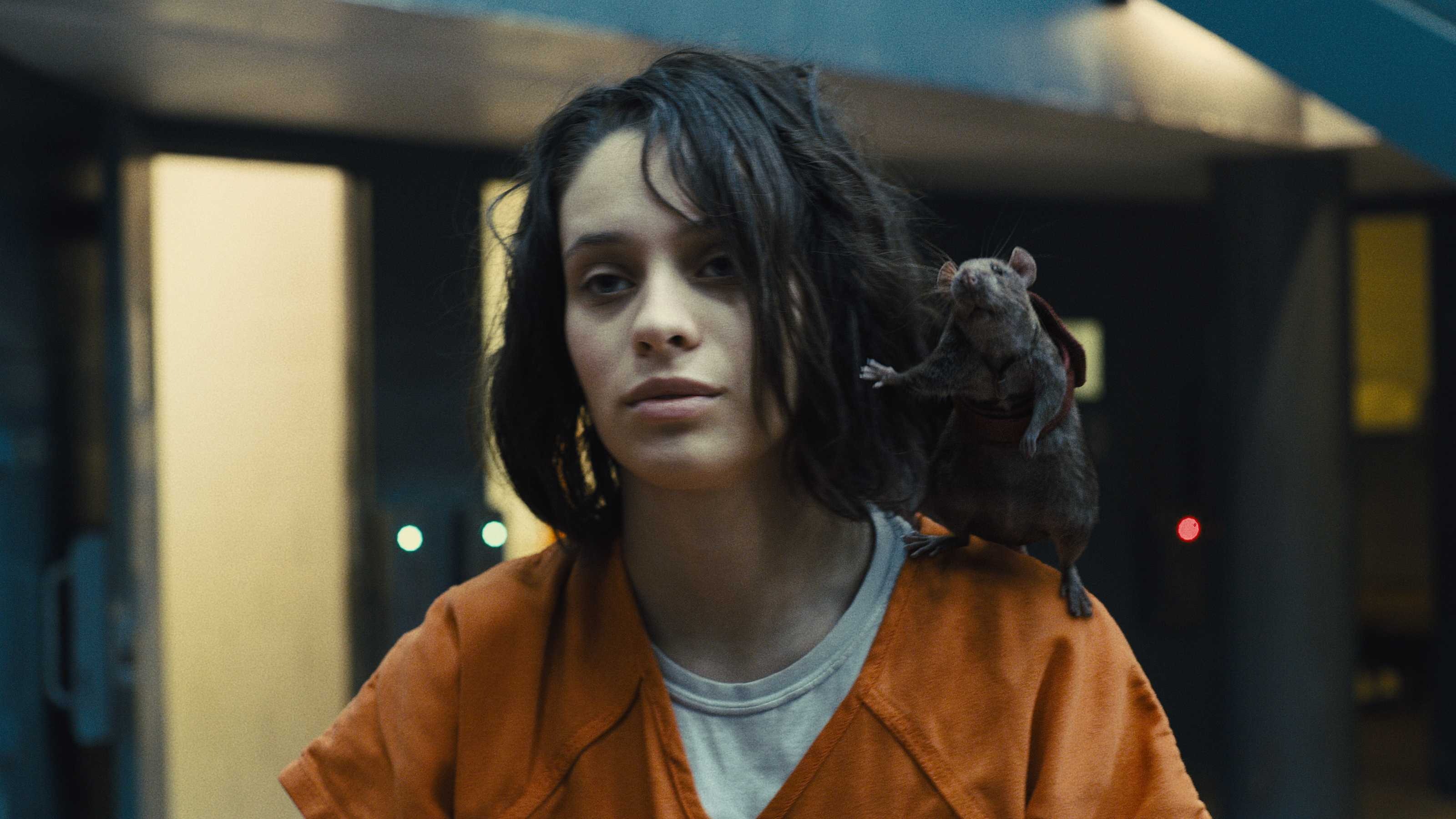 Dopo 4 anni da The Suicide Squad, Daniela Melchior confessa: ecco se ...