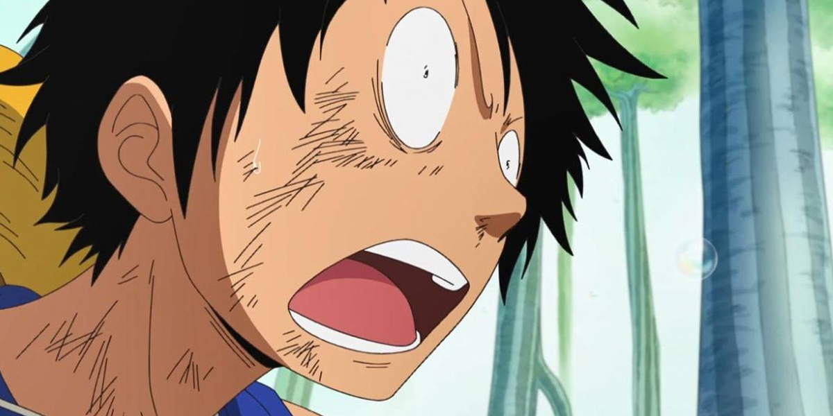 One Piece: un animatore di Toei è fortemente preoccupato per il remake ...