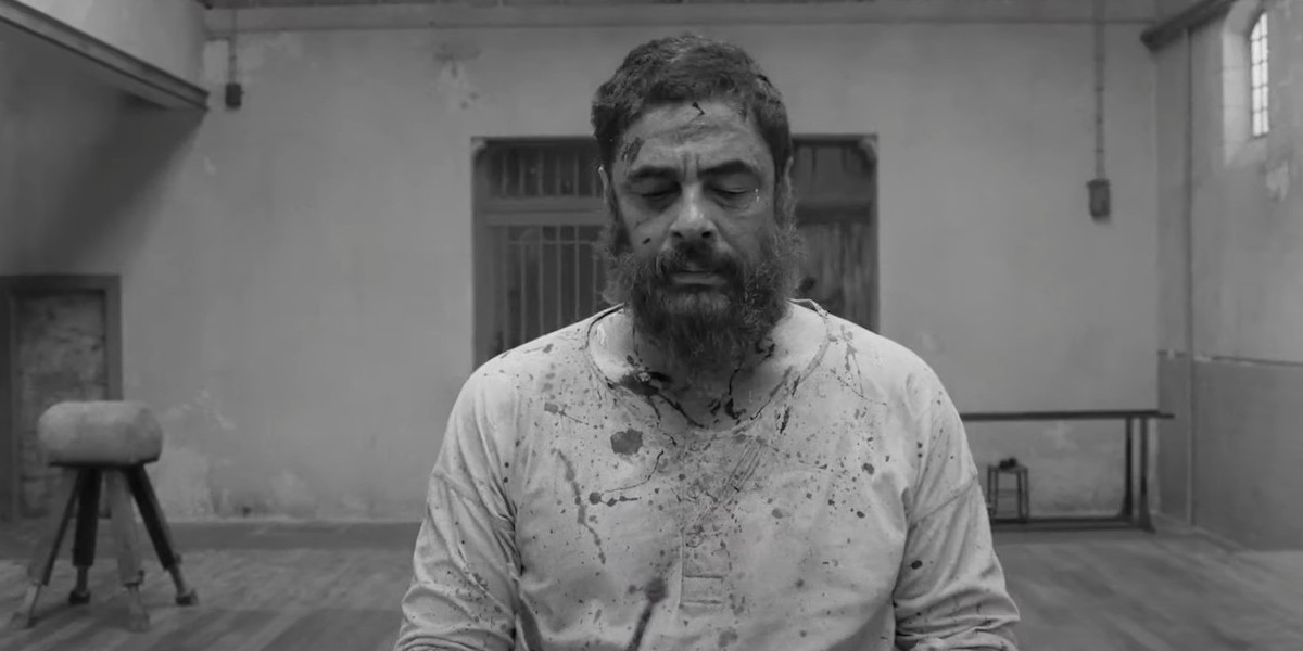 The French Dispatch: Benicio del Toro e Adrien Brody nella nuova clip ...